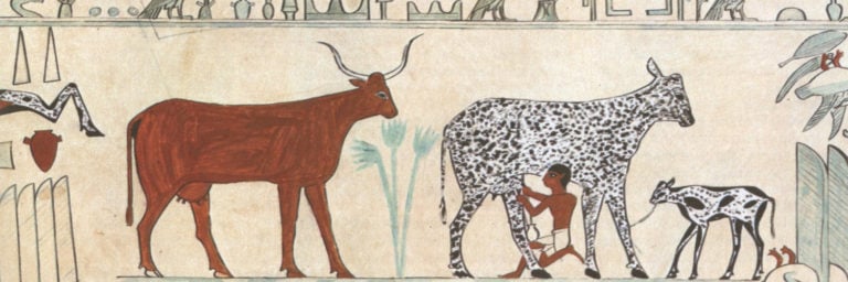 The Animals of Ancient Egypt (Plus Facts) - Give Me History