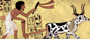 Men & Women's Jobs In Ancient Egypt (With Facts) - Give Me History