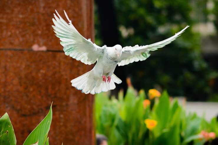 22 Important Symbols of Faith & Hope With Meanings - Give Me History