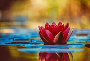 Top 23 Symbols of Resilience and Their Meanings - Give Me History