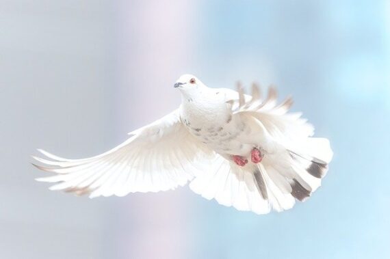 Top 23 Symbols of Love Throughout History - Give Me History