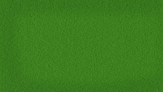 23 Important Symbols of Nature With Meanings - Give Me History