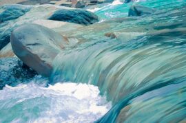 23 Important Symbols of Nature With Meanings - Give Me History
