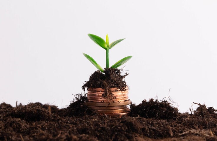 Top 8 Flowers That Symbolize Growth - Give Me History