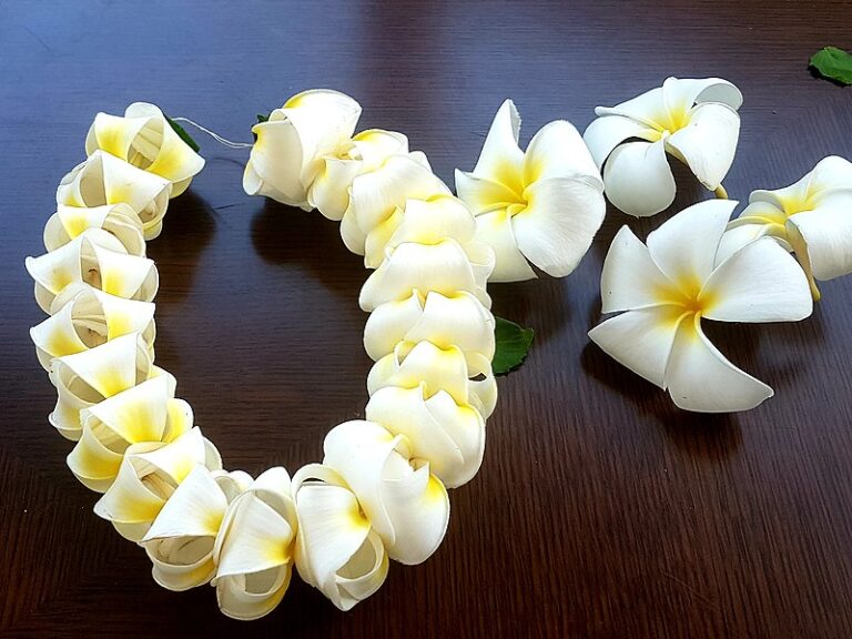 Flowers That Symbolize Femininity - Give Me History