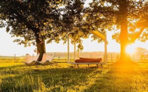 Top 16 Symbols of Relaxation With Meanings - Give Me History