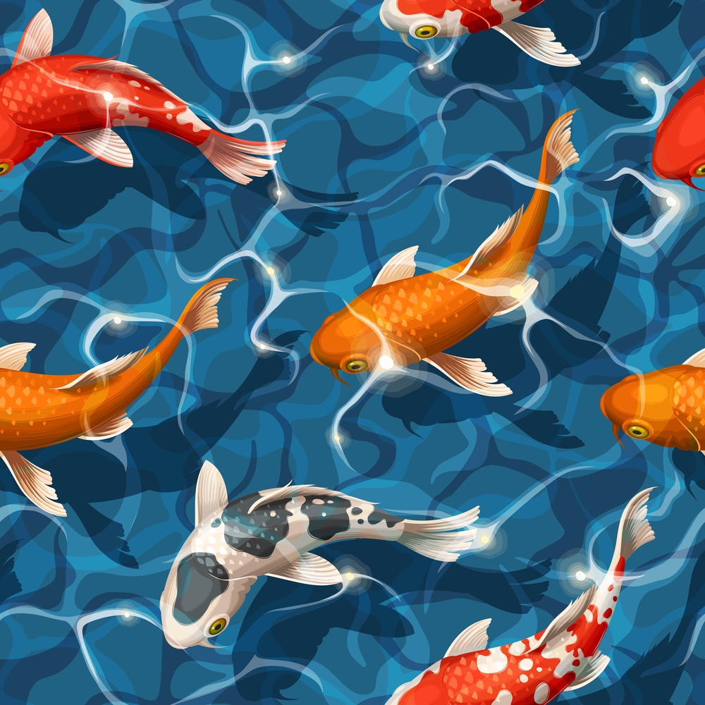 Koi Fish Symbolism 8 Meanings Give Me History Koi Fish Symbolism 8 Meanings Give Me History