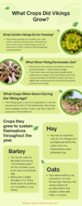 What Crops Did Vikings Grow? - Give Me History