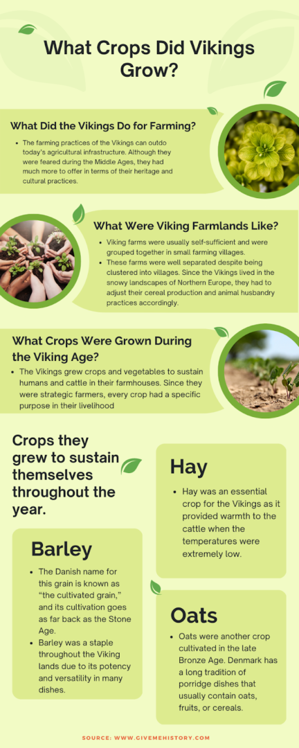 What Crops Did Vikings Grow? - Give Me History