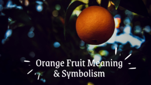 Orange Fruit Symbolism (Top 7 Meanings) - Give Me History