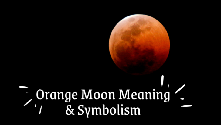 Yellow Moon Symbolism (Top 12 Meanings) - Give Me History