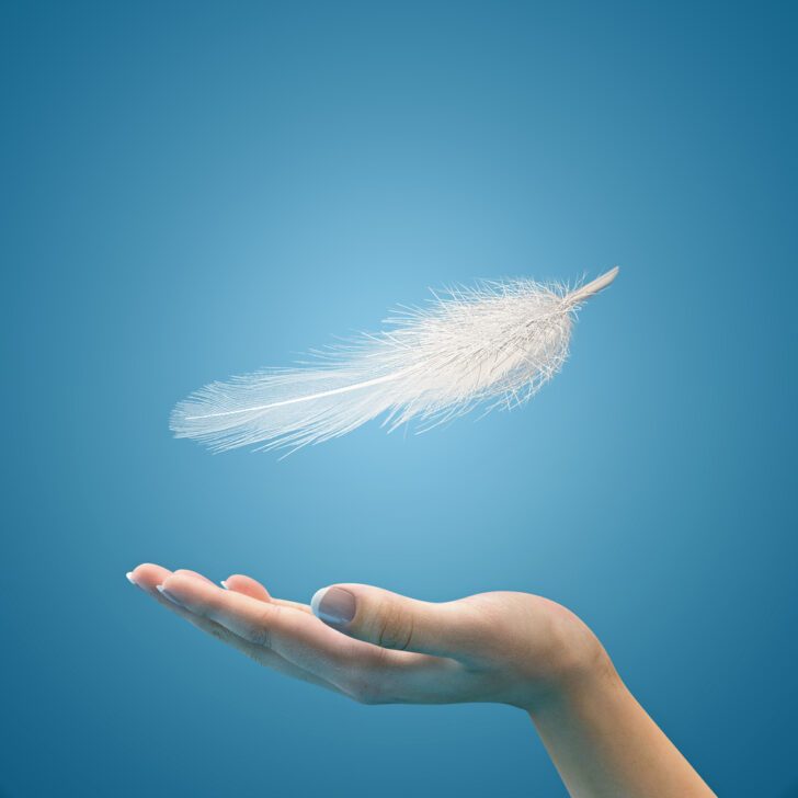The Symbolism of Feathers (Top 18 Meanings) - Give Me History