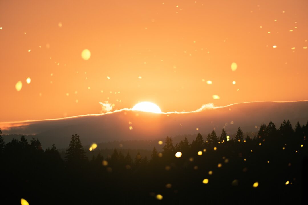 Exploring the Symbolism of Sunshine (Top 9 Meanings) - Give Me History