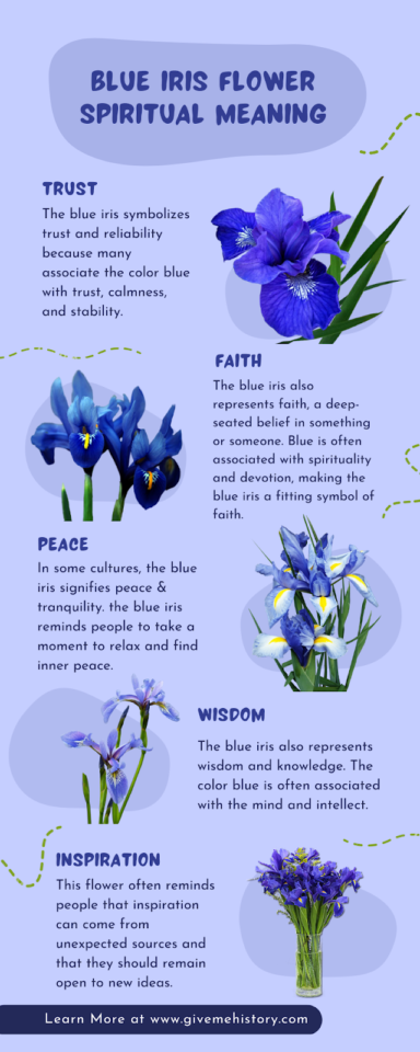 Blue Iris Symbolism (Top 14 Meanings) - Give Me History