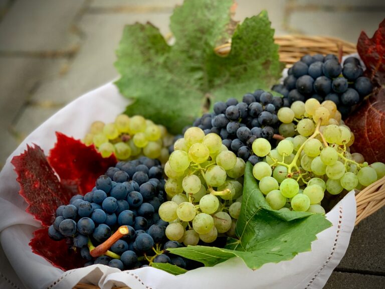 The Symbolism of Grapes (Top 8 Meanings) - Give Me History